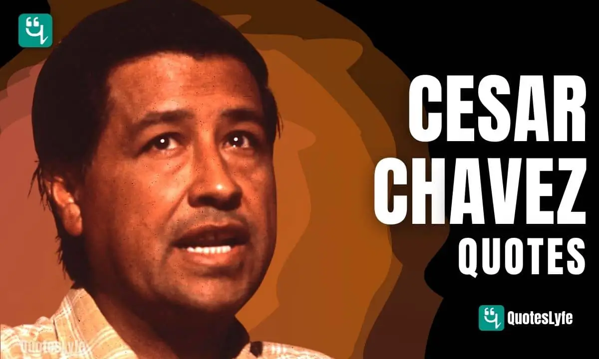 Powerful Cesar Chavez Quotes on Social Change, Leadership, Education ...