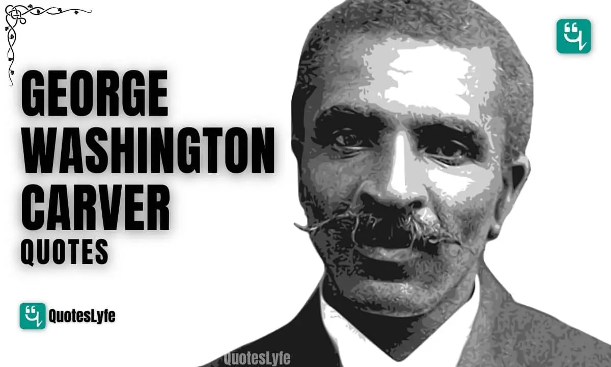 Famous George Washington Carver Quotes On Education, Race, God, Nature ...