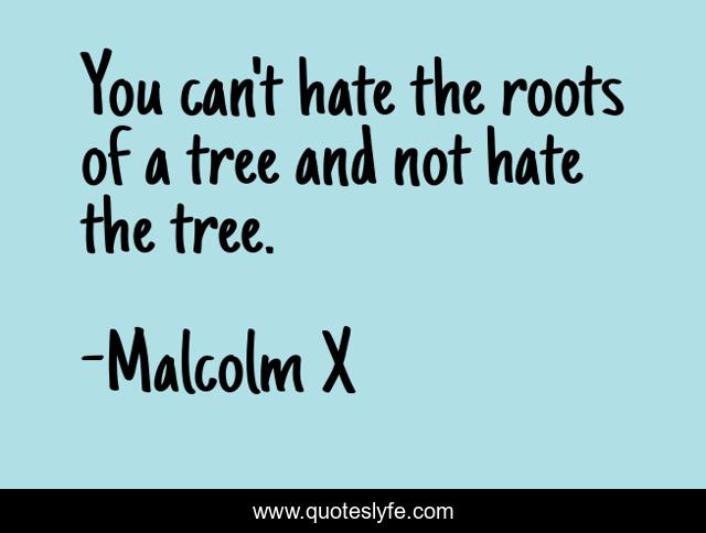 You can't hate the roots of a tree and not hate the tree.... Quote by ...