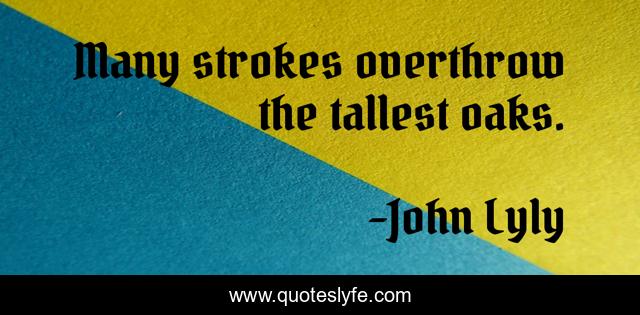 Many strokes overthrow the tallest oaks.... Quote by John Lyly - QuotesLyfe