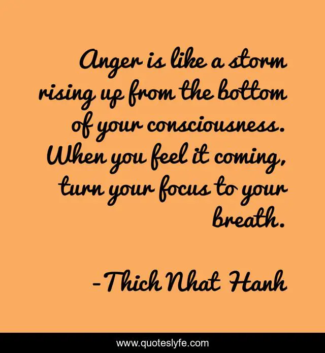 Anger is like a storm rising up from the bottom of your consciousness ...