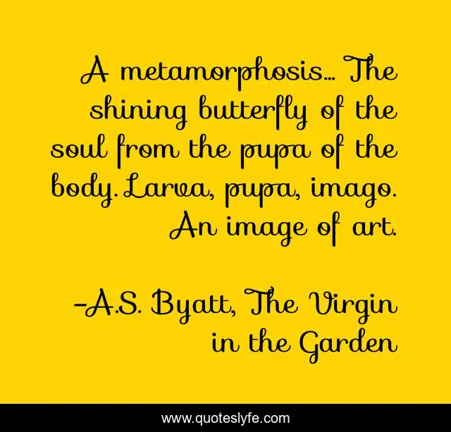 A metamorphosis... The shining butterfly of the soul from the pupa of ...