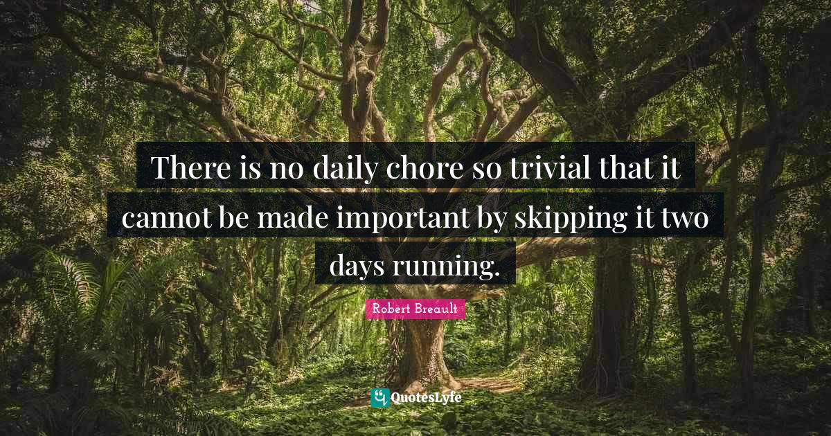 There is no daily chore so trivial that it cannot be made important by ...
