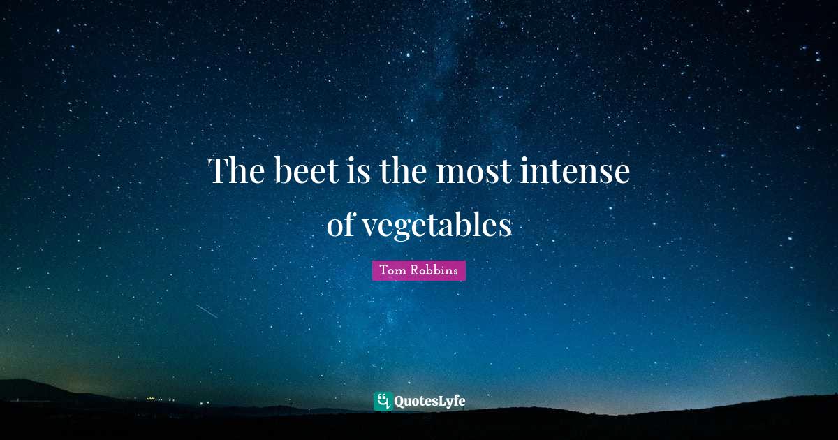 The beet is the most intense of vegetables... Quote by Tom Robbins ...