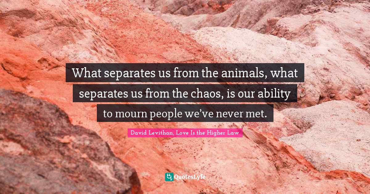 What separates us from the animals, what separates us from the chaos ...