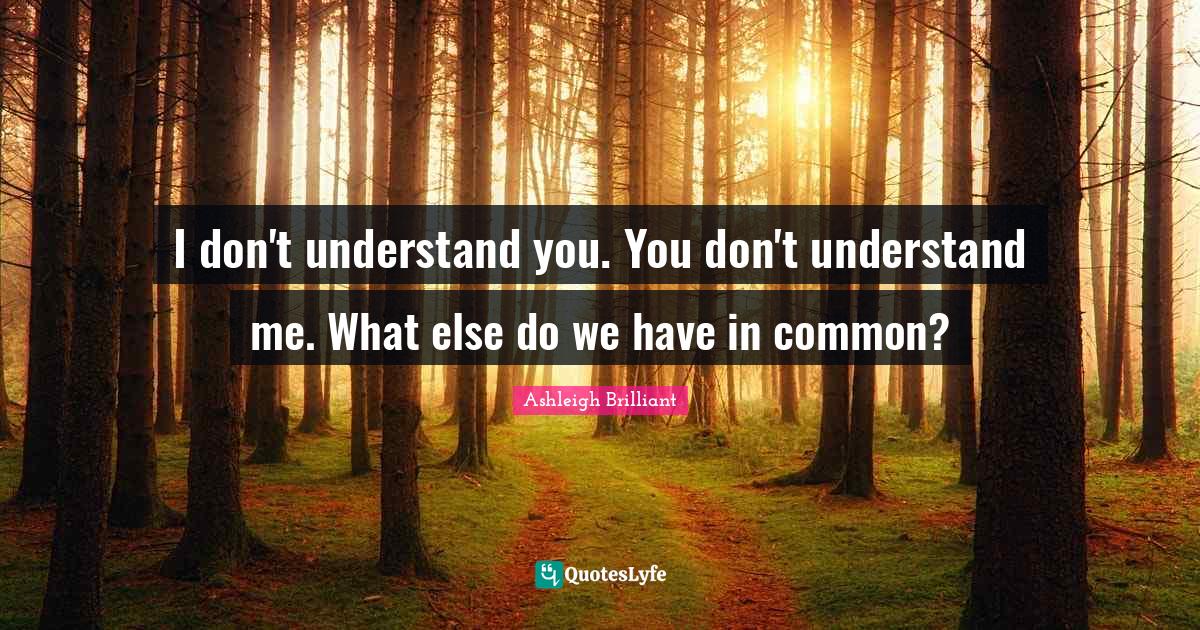 I don't understand you. You don't understand me. What else do we have ...