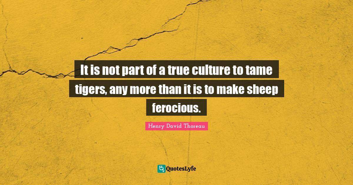 It Is Not Part Of A True Culture To Tame Tigers Any More Than It Is T