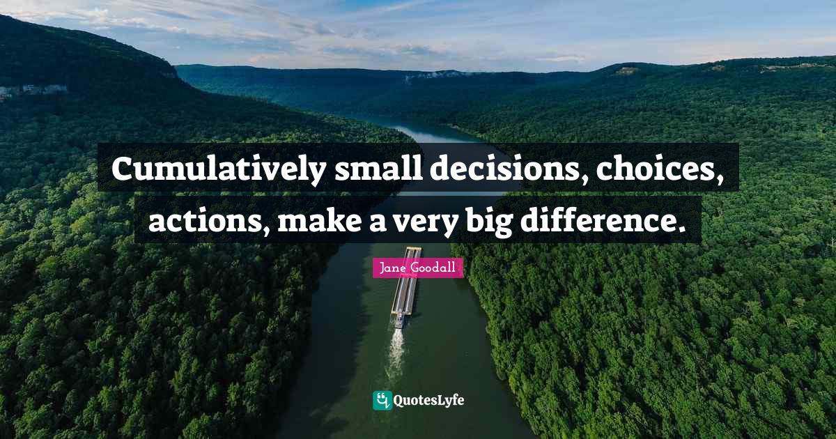 Cumulatively small decisions, choices, actions, make a very big differ ...