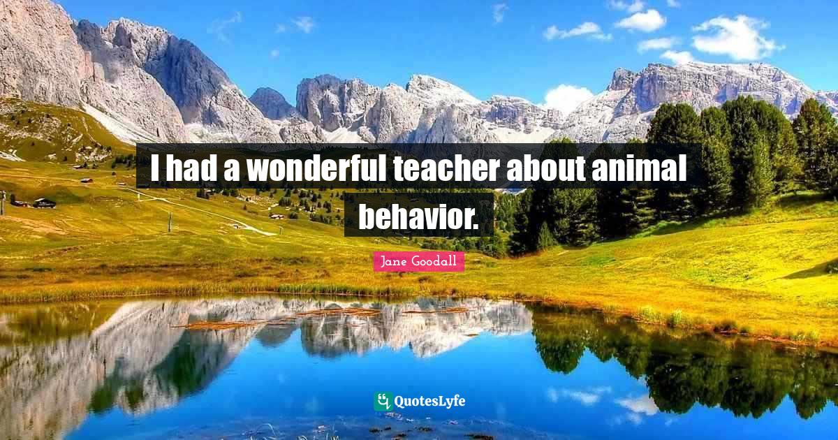 I had a wonderful teacher about animal behavior.... Quote by Jane ...