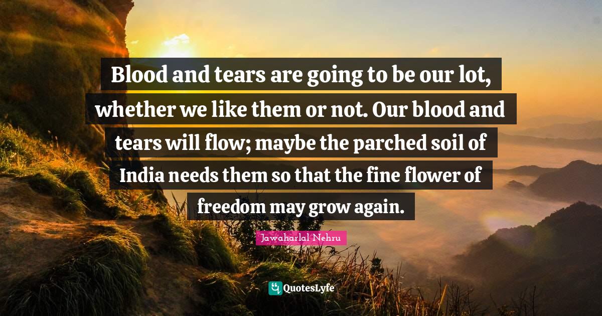 Blood and tears are going to be our lot, whether we like them or not ...