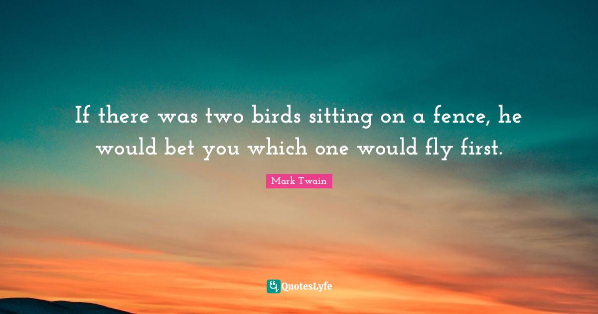 If there was two birds sitting on a fence, he would bet you which one ...