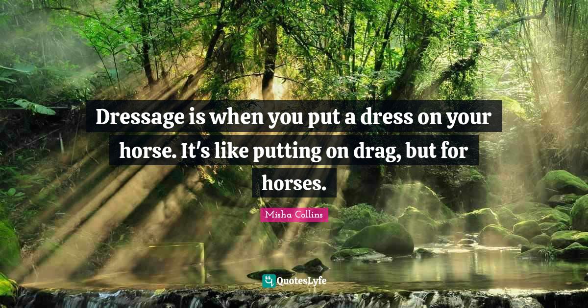 Dressage is when you put a dress on your horse. It's like putting on d ...